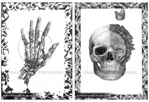 gorydetails.net » Human Nature & Metamorphosis